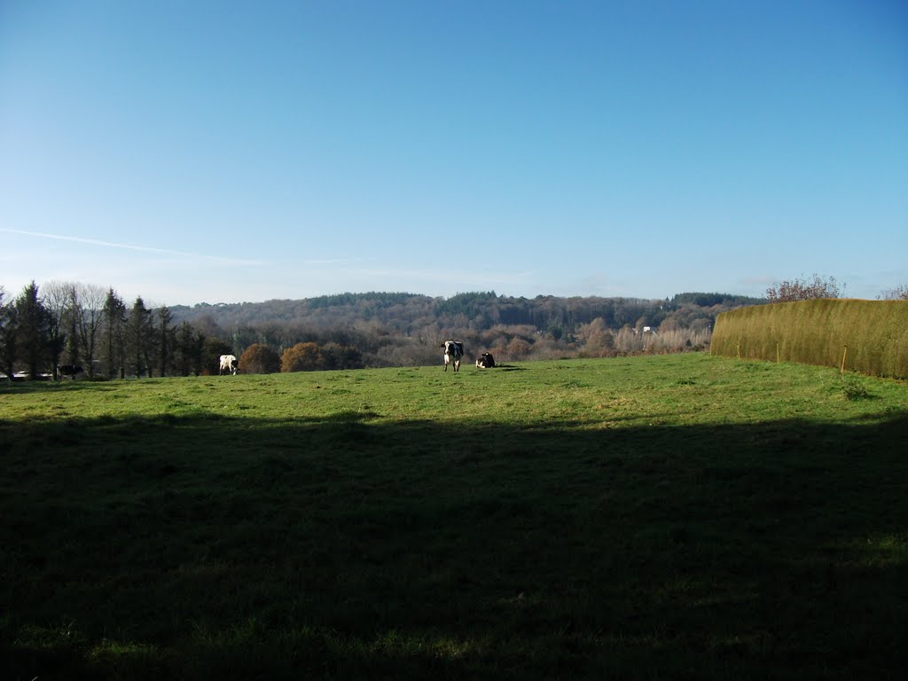 Dans le Morbihan, Le Sourn recrute